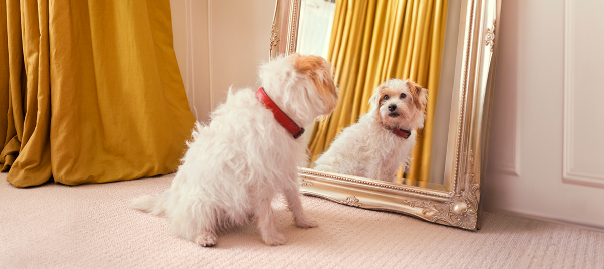 Fidelity International | ISAs, Shares, Funds & Pensions (SIPPs)